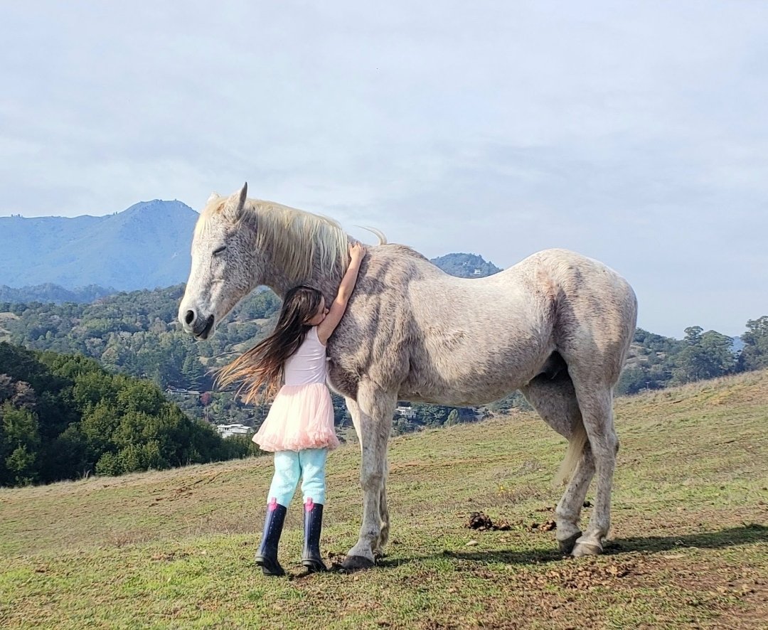 The promise of wonder. – HeidiBond