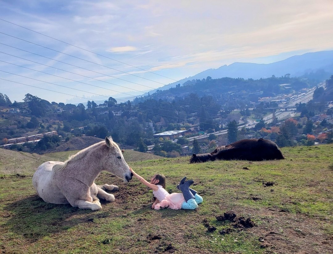 The promise of wonder. – HeidiBond